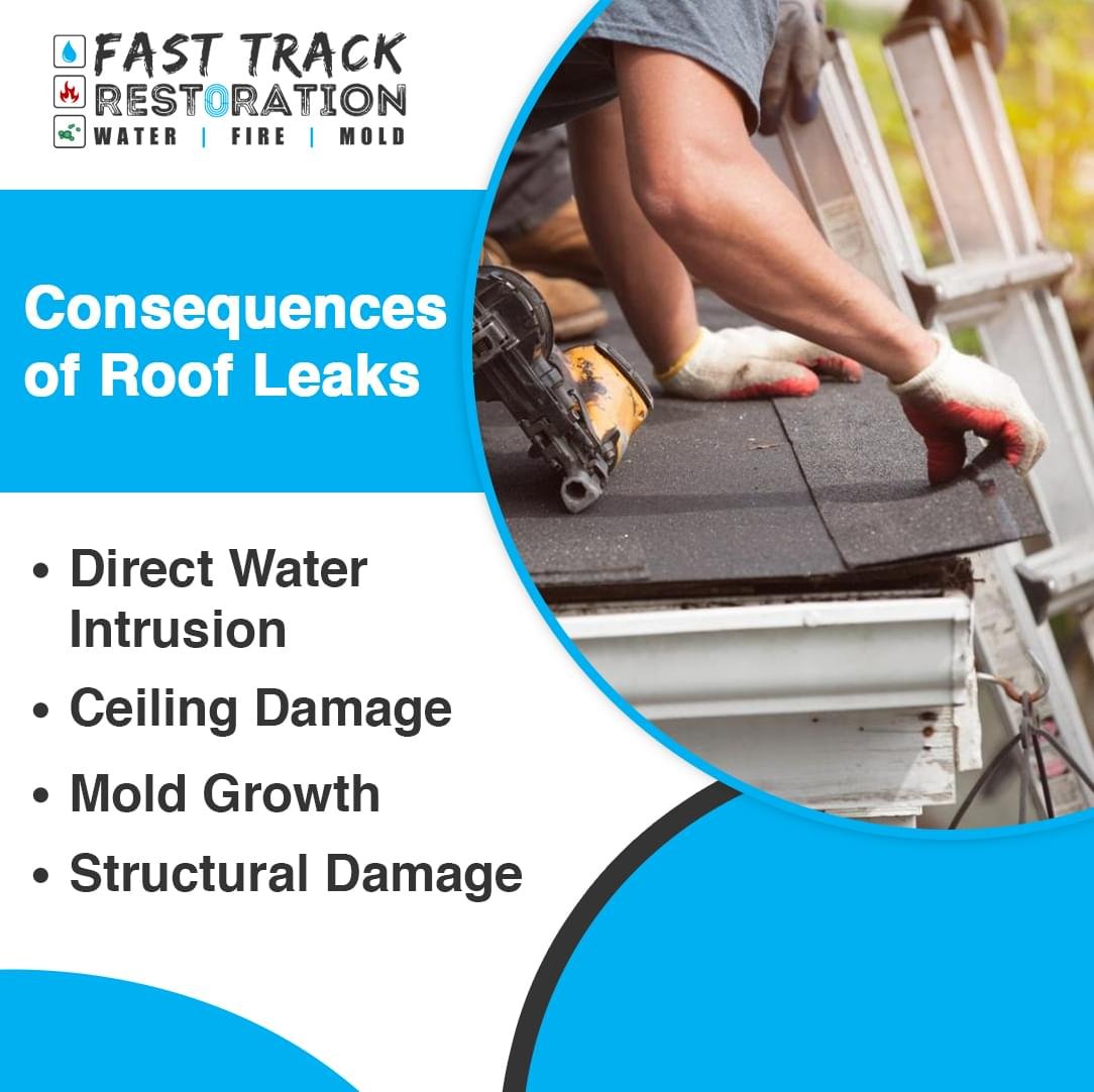 Fast Track Restoration: Detecting Hidden Water Damage Within Your Walls ...